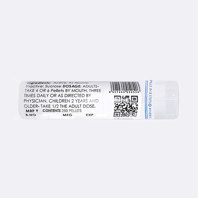 Buy Rxhomeo® Homeopathic THUJA OCC 1M - 250 Pills - lactose-free high ...