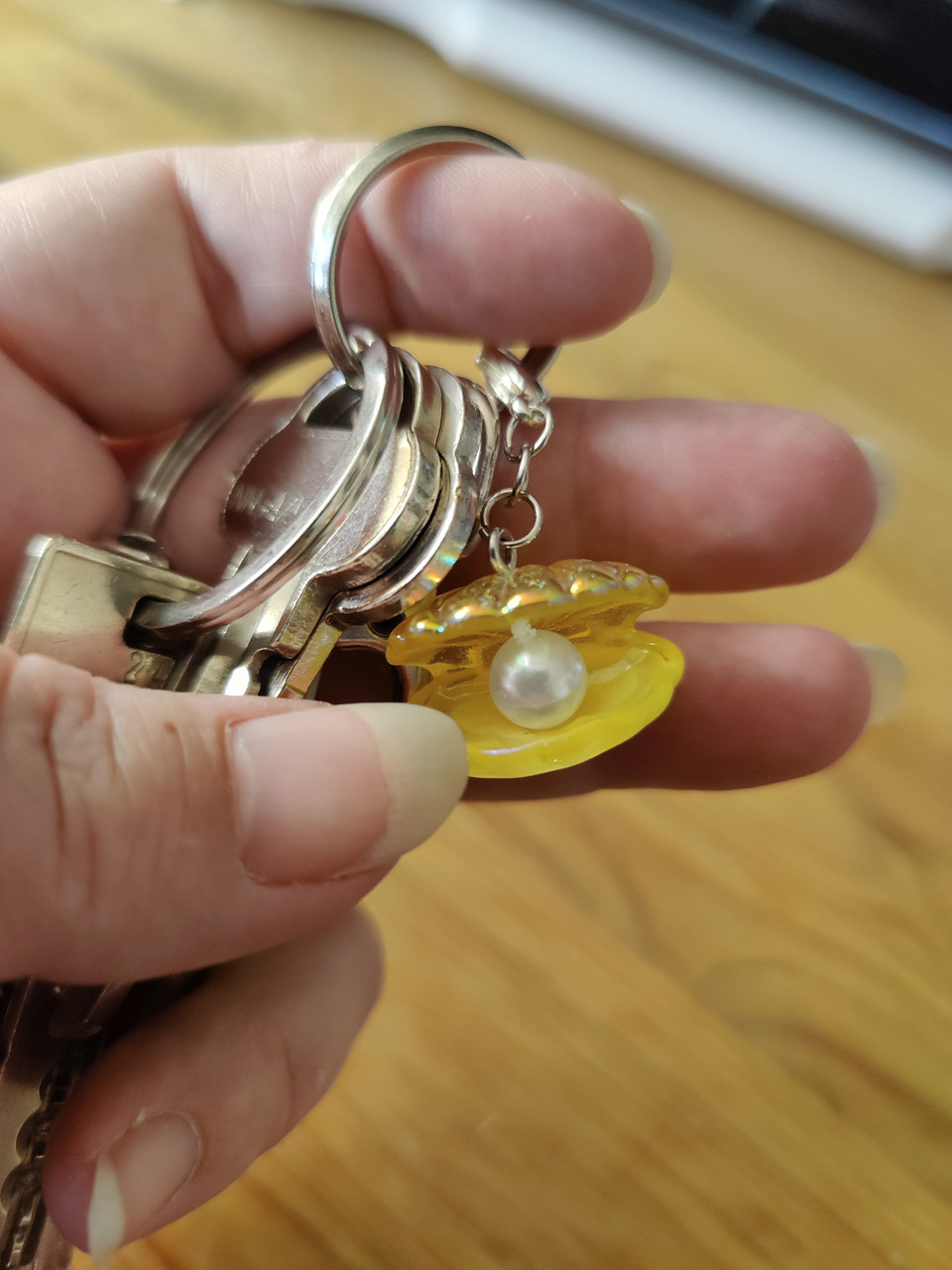 White pearl clam shell progress keeper