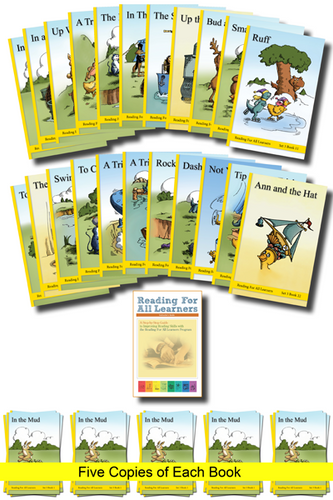 Guided Reading Library Set 3 - Academic Success For All Learners