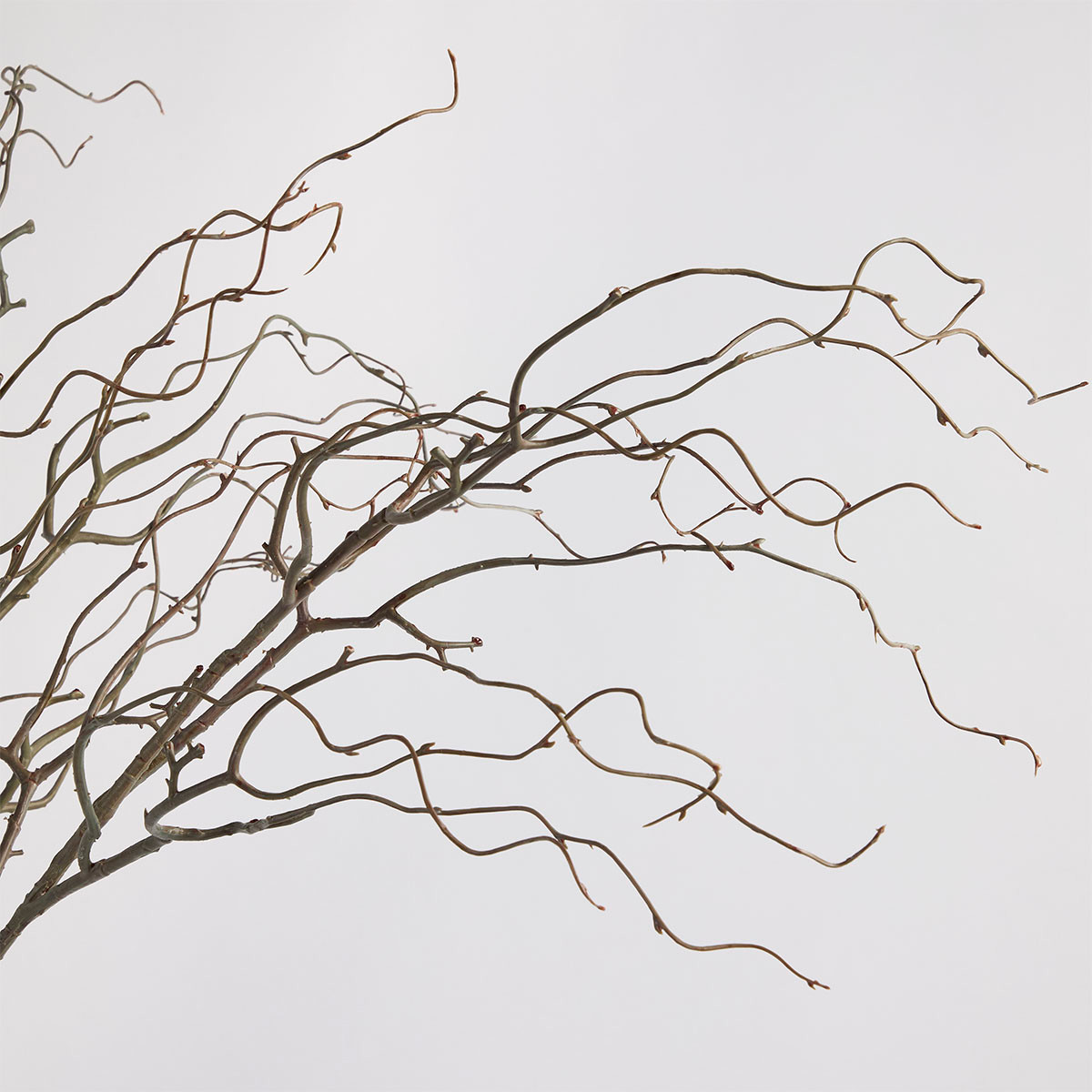 Artificial Wild Willow Branch - Pillow Talk