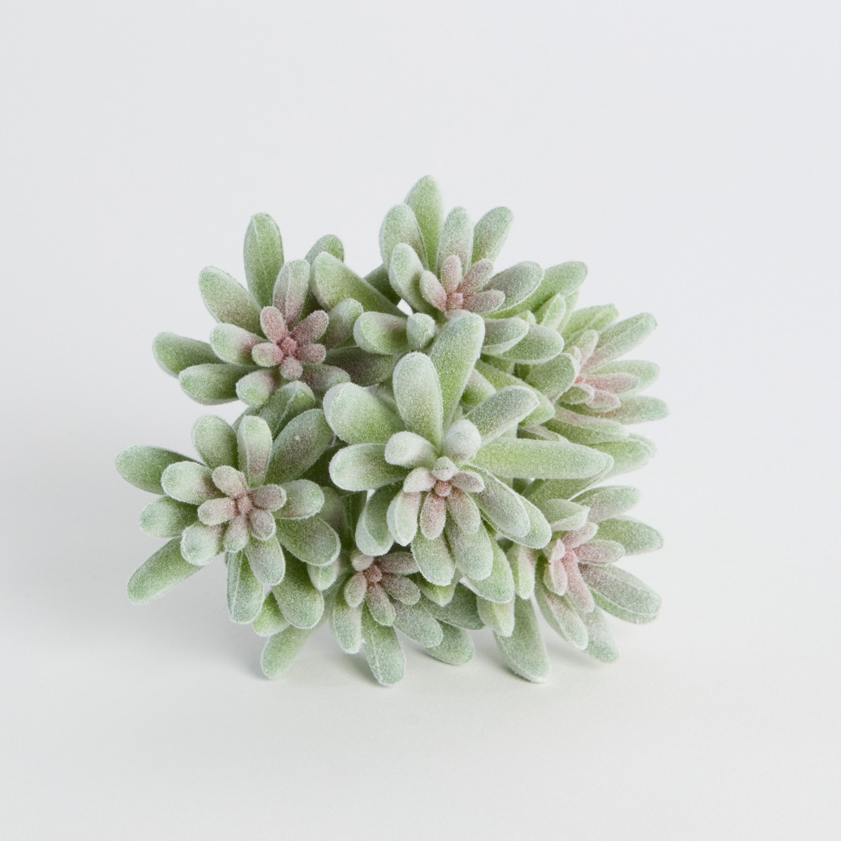 Artificial Succulent Minima Pick - Pillow Talk
