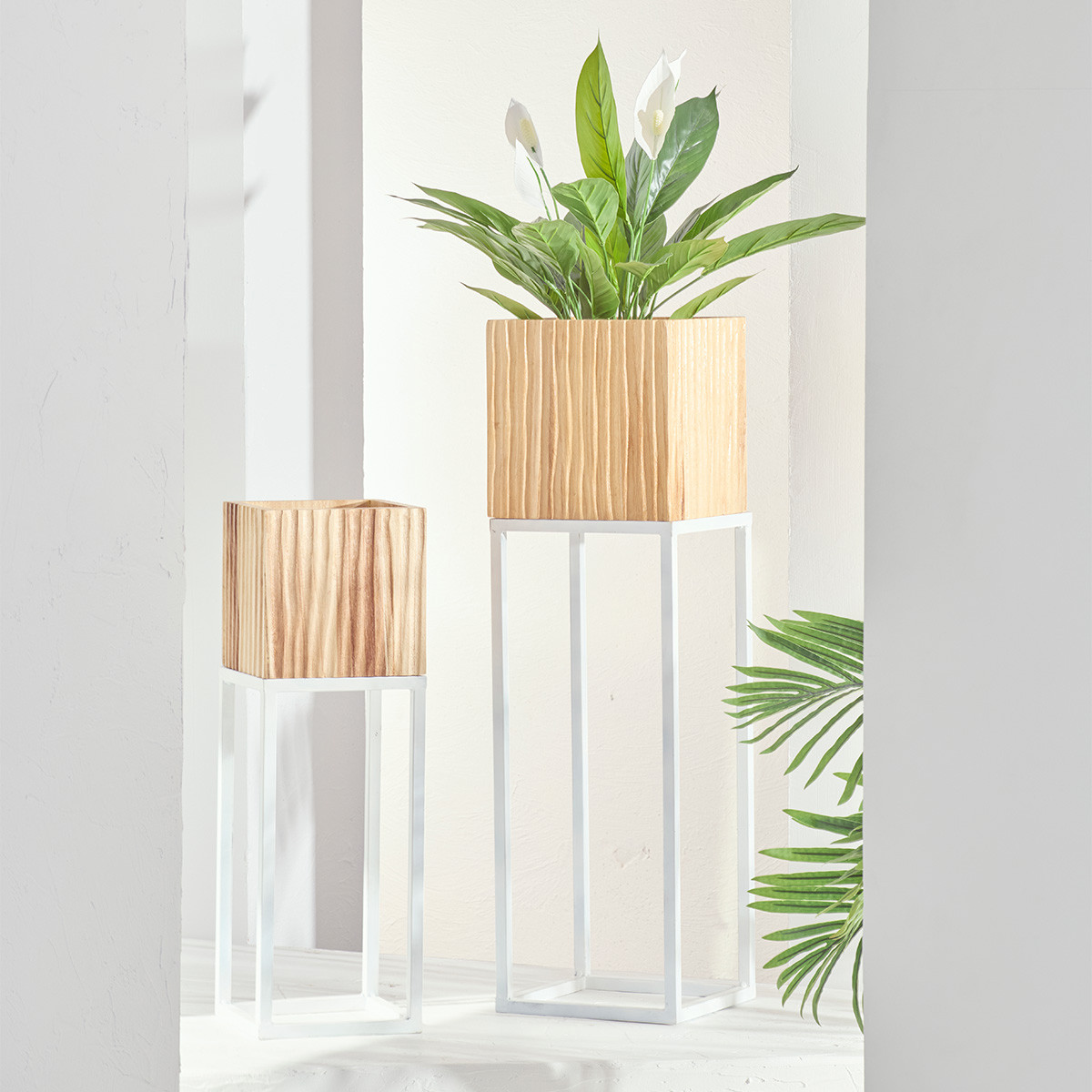Manly Wooden Decorative Pot on White Metal Stand - Pillow Talk