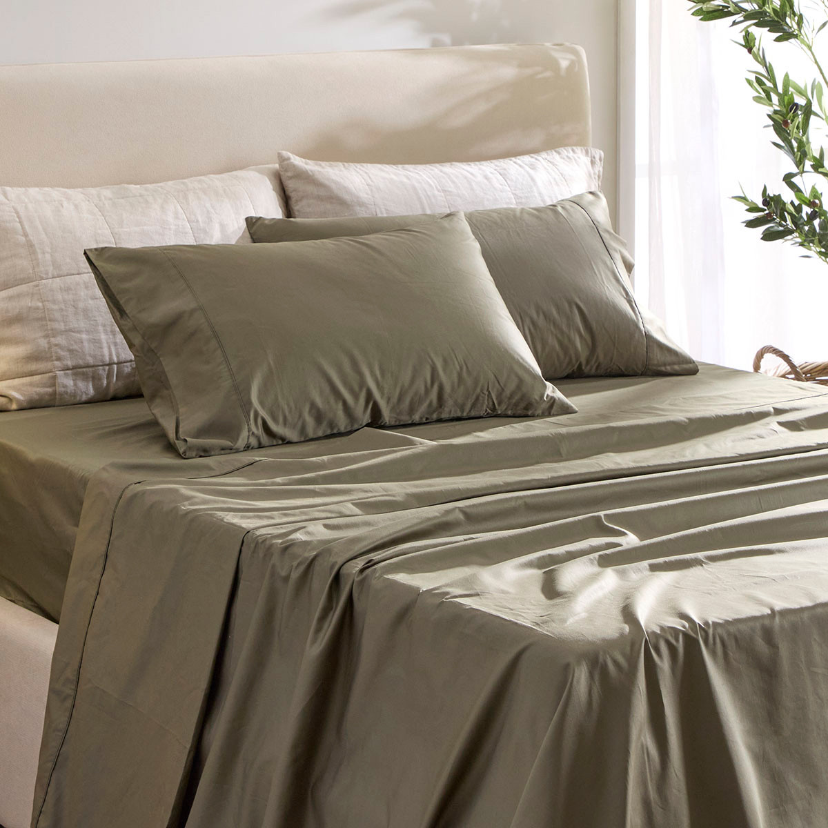 600 Thread Count Cotton Sheet Set - Pillow Talk