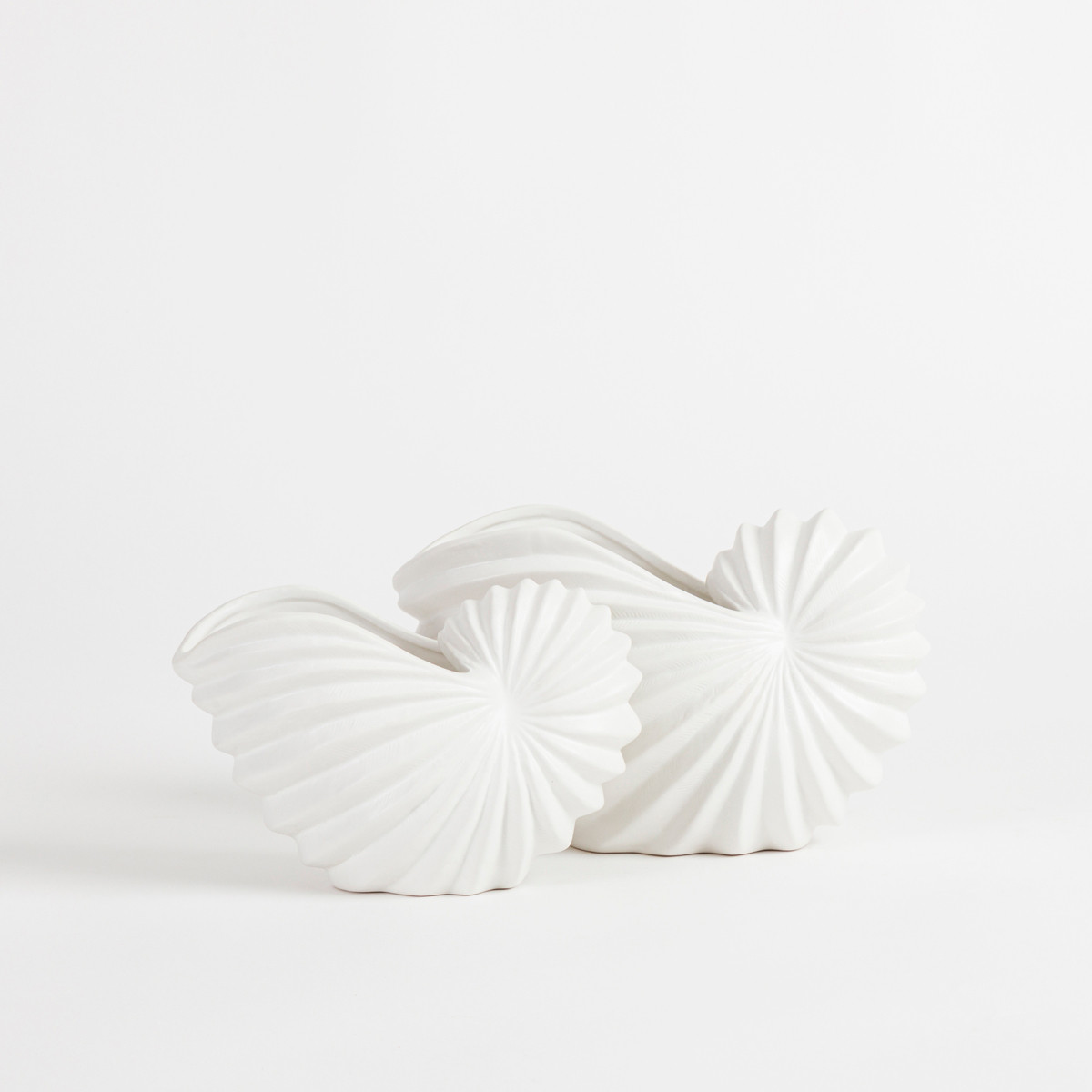 Nautilus Matte White Shell Bowl - Pillow Talk