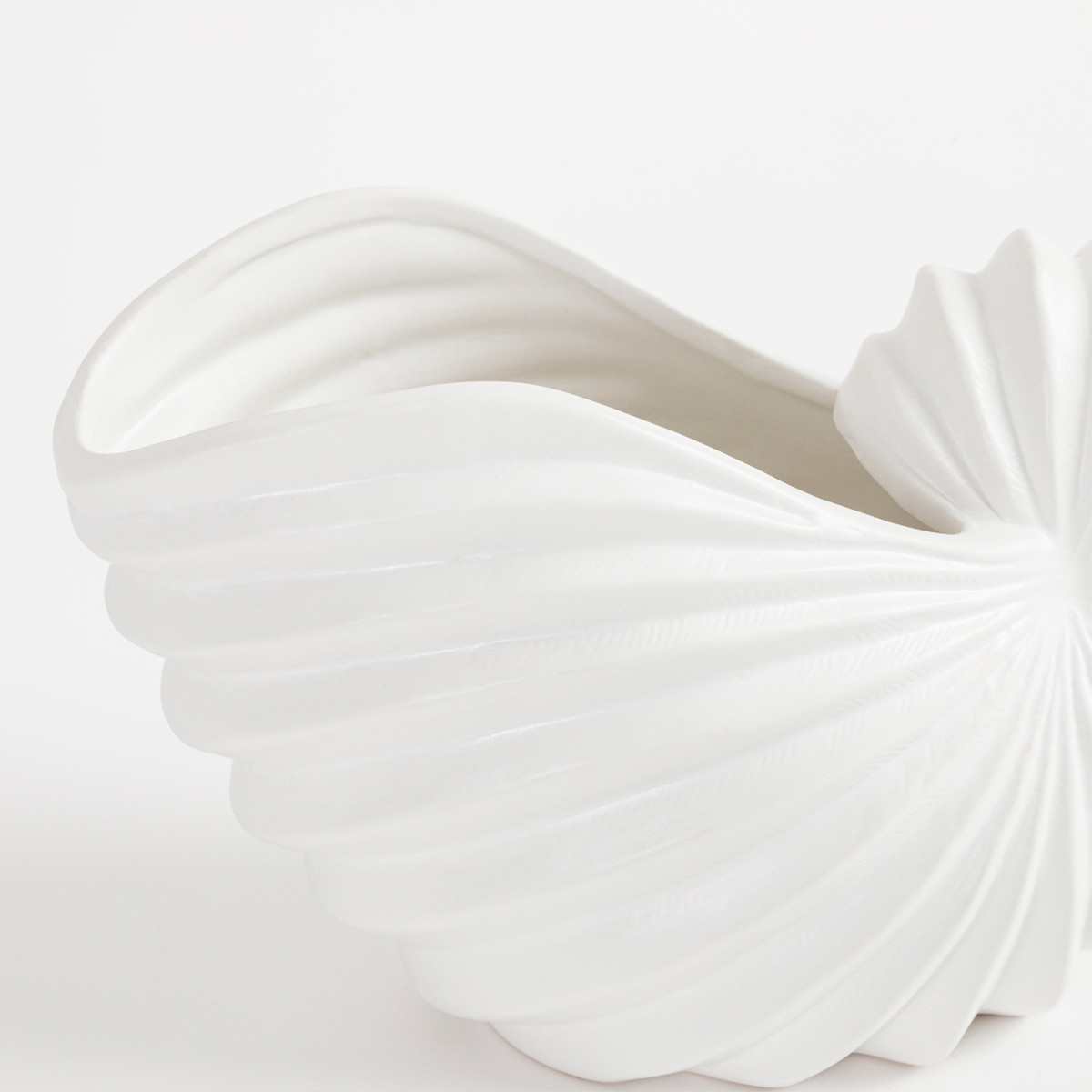 Nautilus Matte White Shell Bowl - Pillow Talk