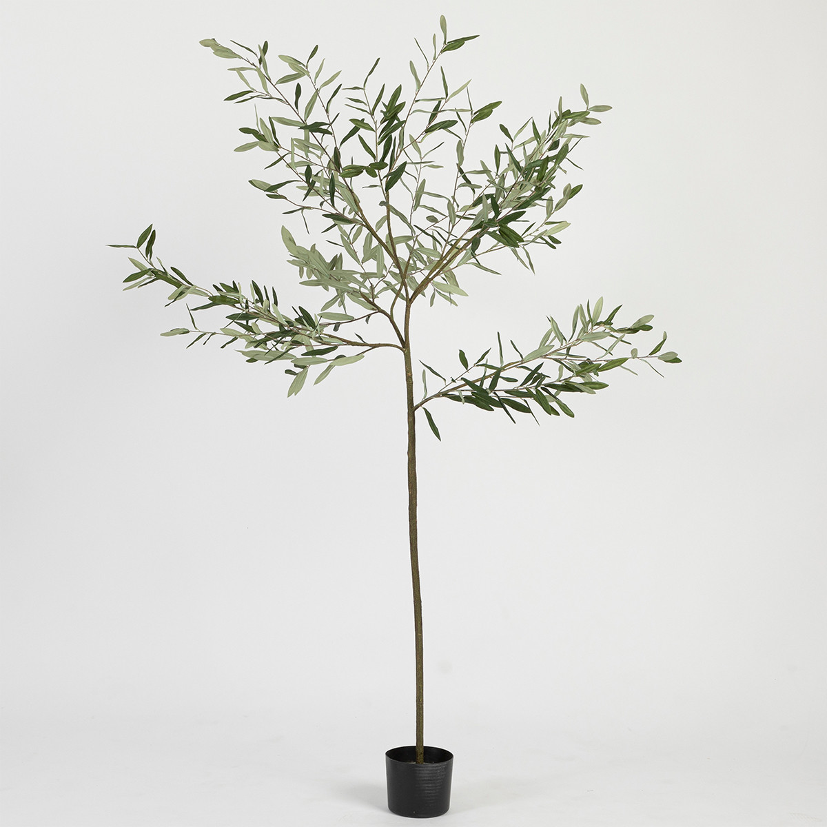 Artificial Fruitless Olive Tree - Pillow Talk