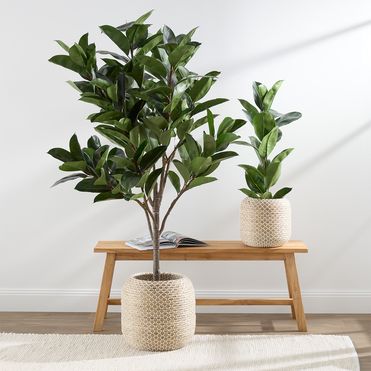Artificial Rubber Fig Tree - Pillow Talk