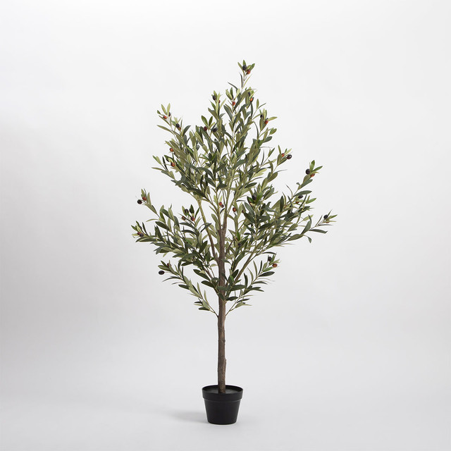 Artificial Tuscan Olive Tree - Pillow Talk