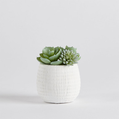 Avalon Garden Artificial Potted Succulent - Pillow Talk
