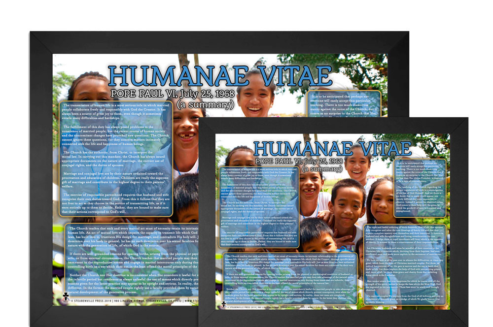 Humanae Vitae Explained Poster