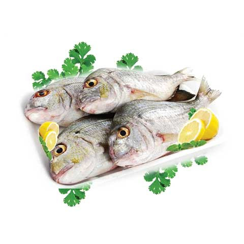 Fresh Fish-Meat-Chicken - Fresh Fish - Page 1 - Panda.qa
