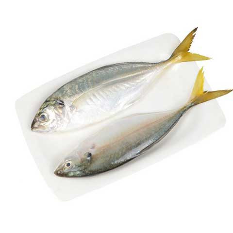 Fresh Fish-Meat-Chicken - Fresh Fish - Page 1 - Panda.qa