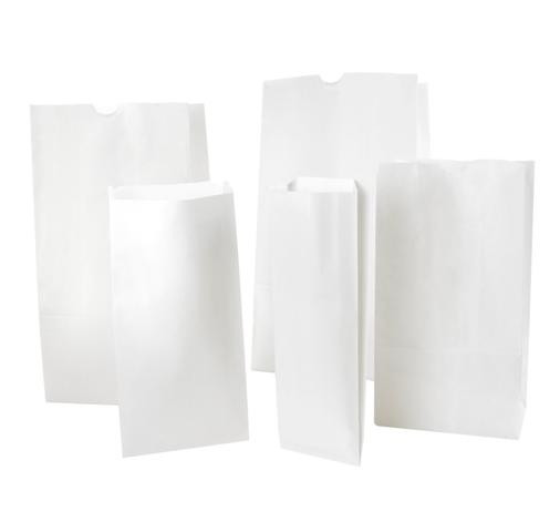Stock Paper Unprinted White Rx Bags - PAS Packaging