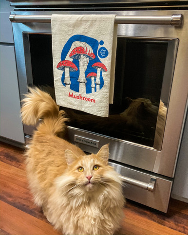 ASL Mushroom Signs Tea Towel | Clean New School Paper