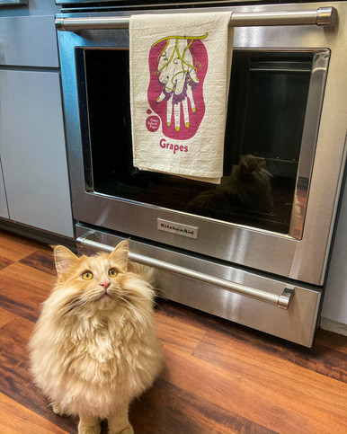 ASL Grapes Signs Tea Towel | Clean New School Paper