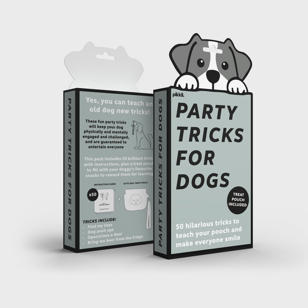 Party Tricks for Dogs | TYLER'S