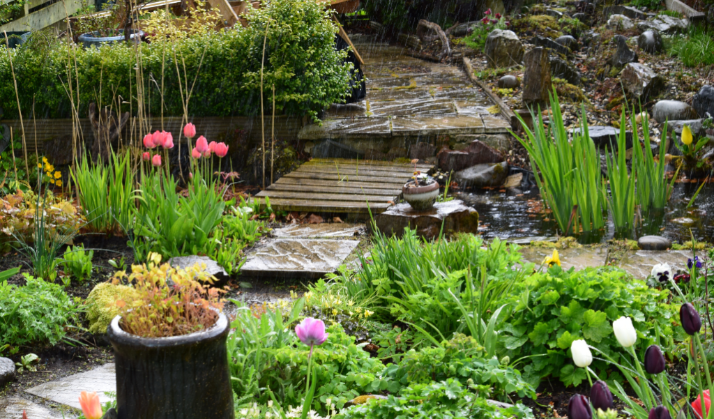 The Benefits of Creating a Rain Garden in Your Yard - Twin Oaks Nursery ...