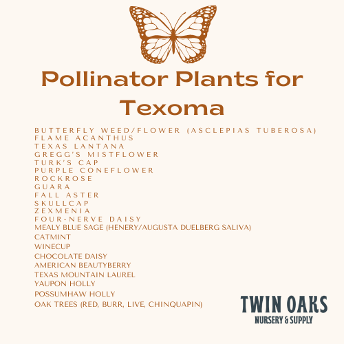 Pollinator Plants - Twin Oaks Nursery & Supply
