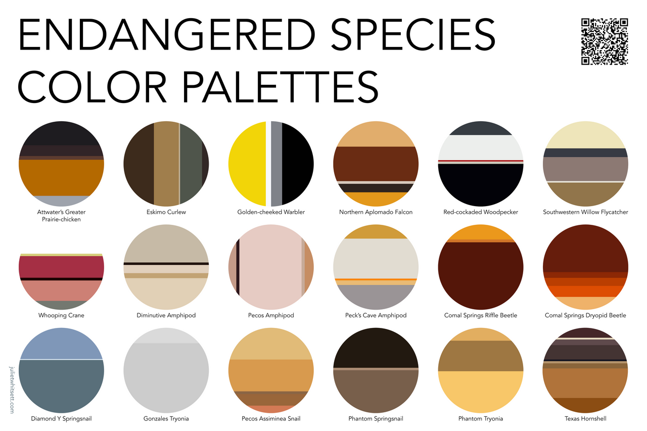 Biodiversity of Texas Color Palette - Giddyup Art Studio