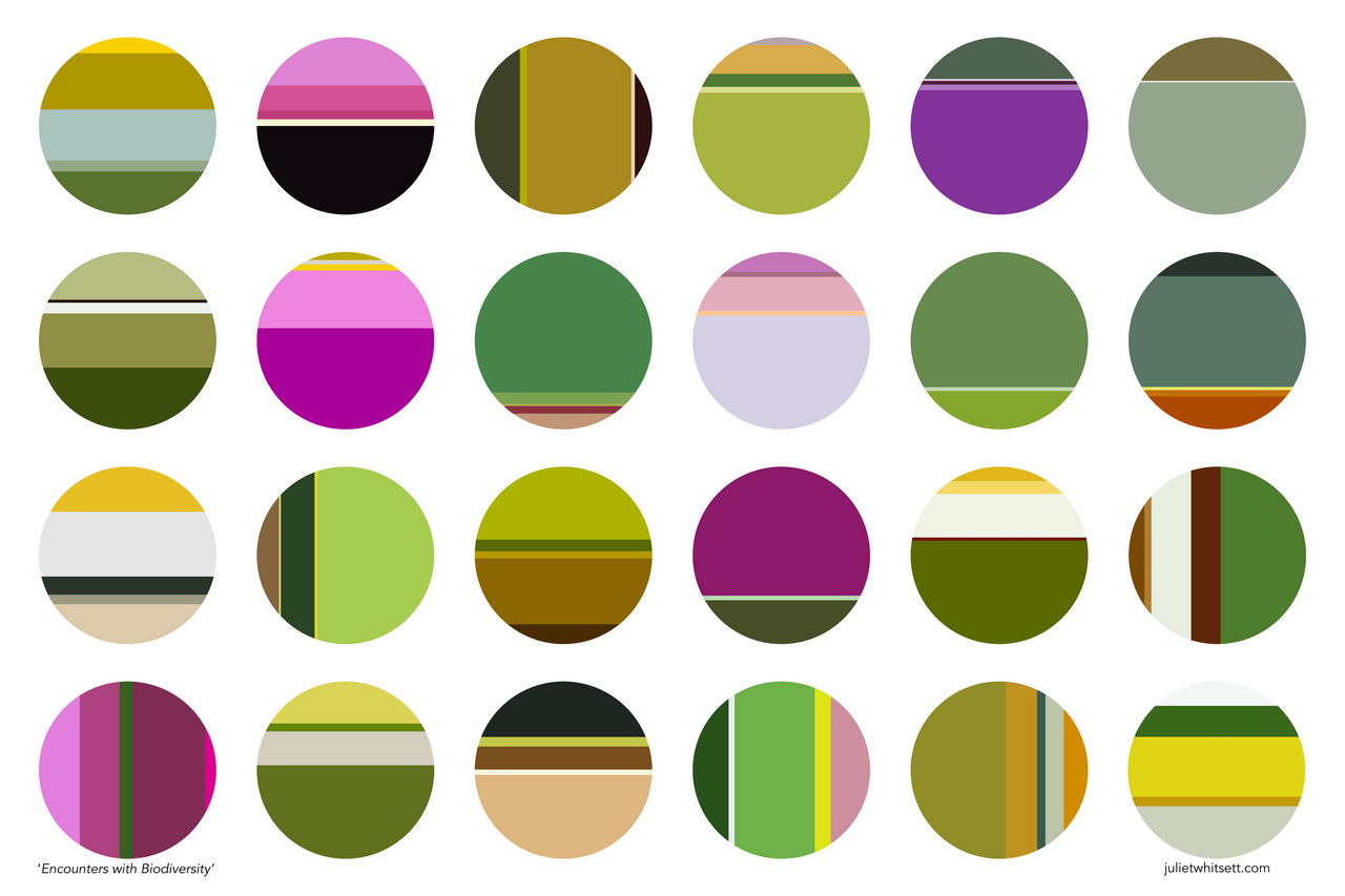 Biodiversity of Texas Color Palette - Giddyup Art Studio