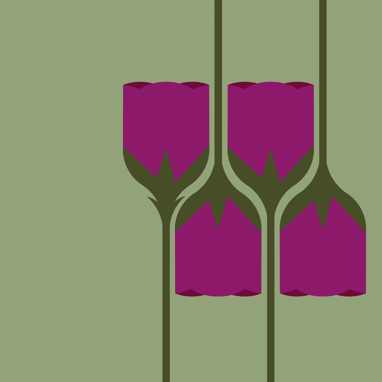 Texas Poppy Mallow (Callirhoe scabriuscula) - Endangered Plant Art