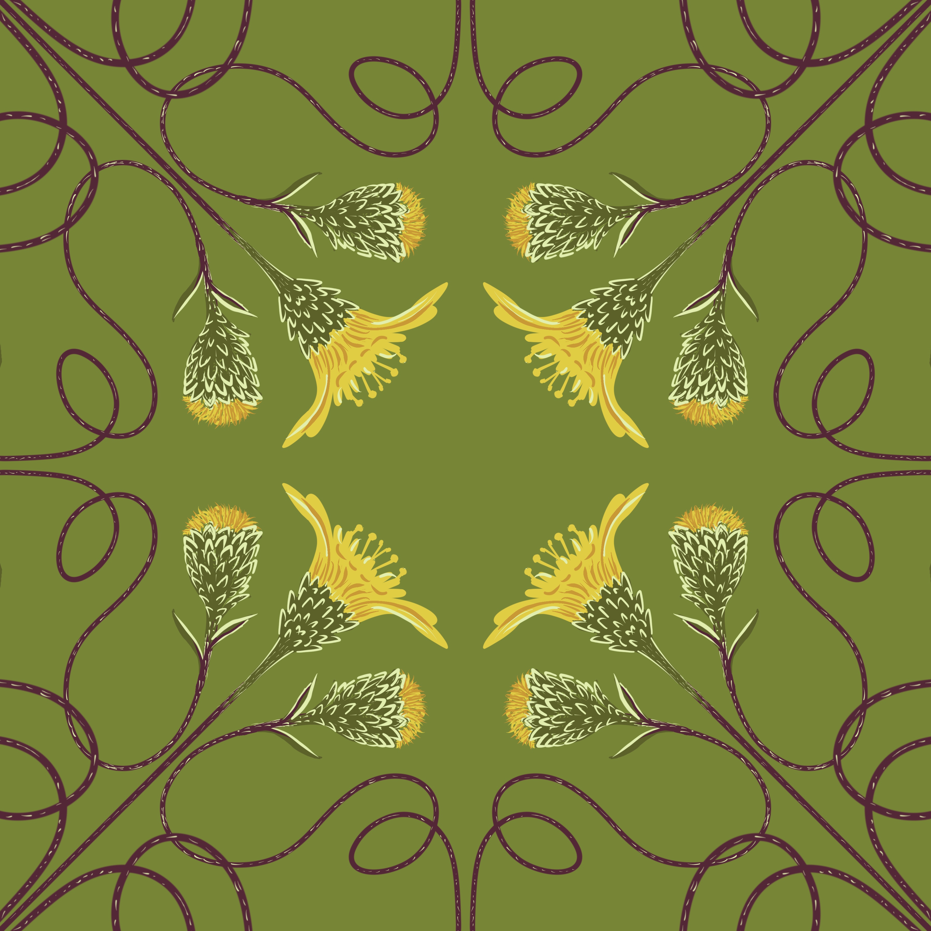 Houston Camphor Daisy (Rayjacksonia aurea) - Threatened Plant - Giddyup ...