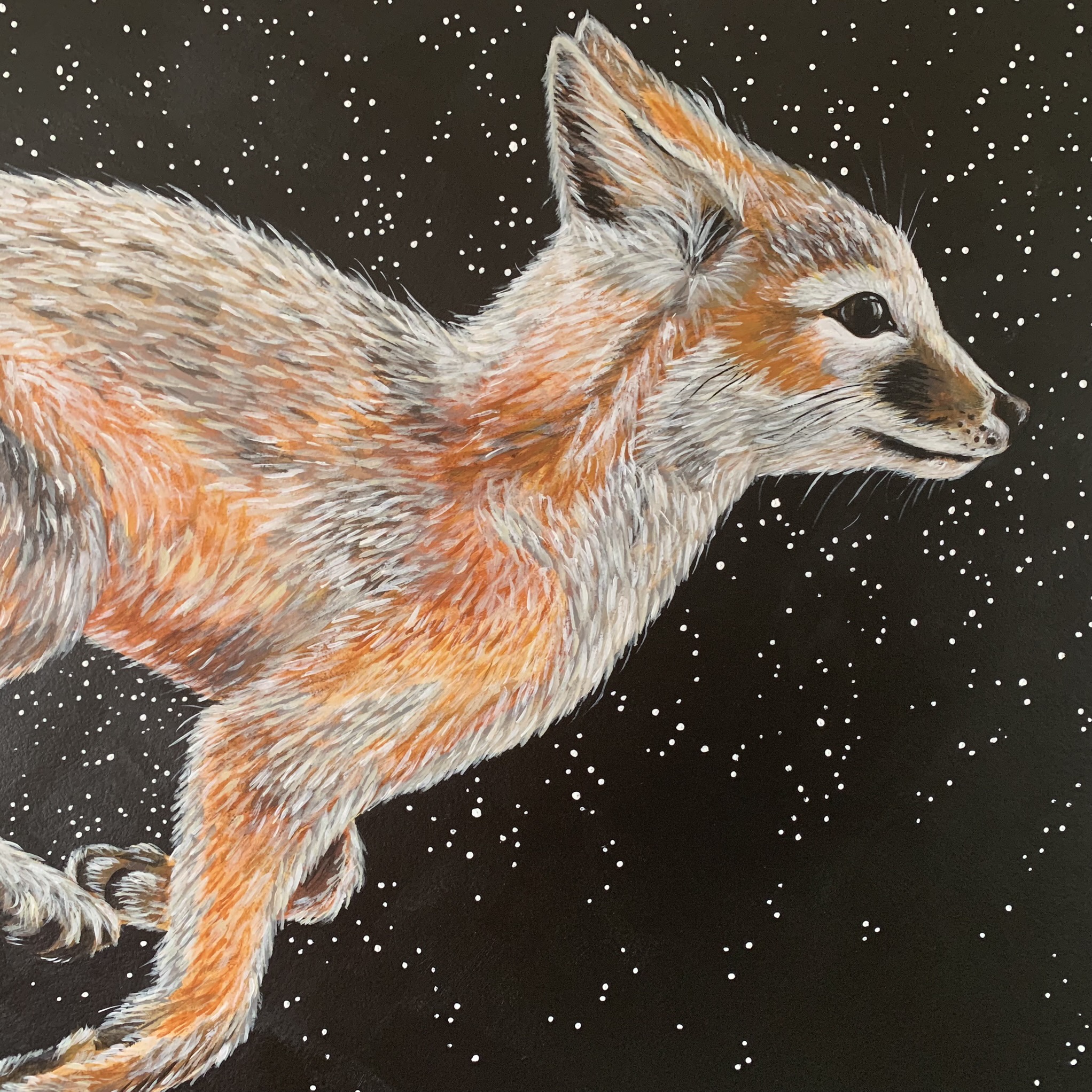 The Swift Fox - Giddyup Art Studio