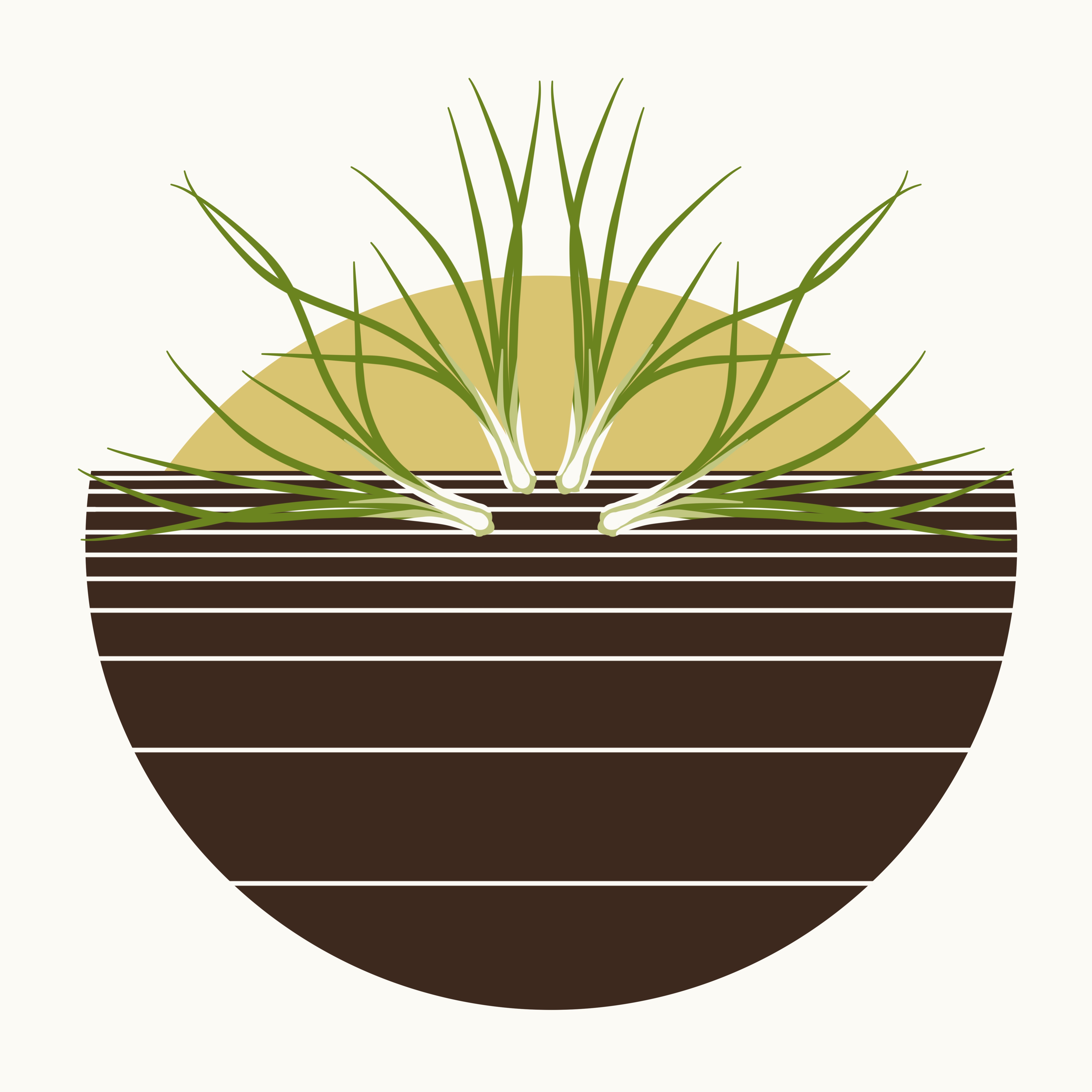 Rock Quillwort (Isoetes lithophila)- Threatened Texas Plant Art ...