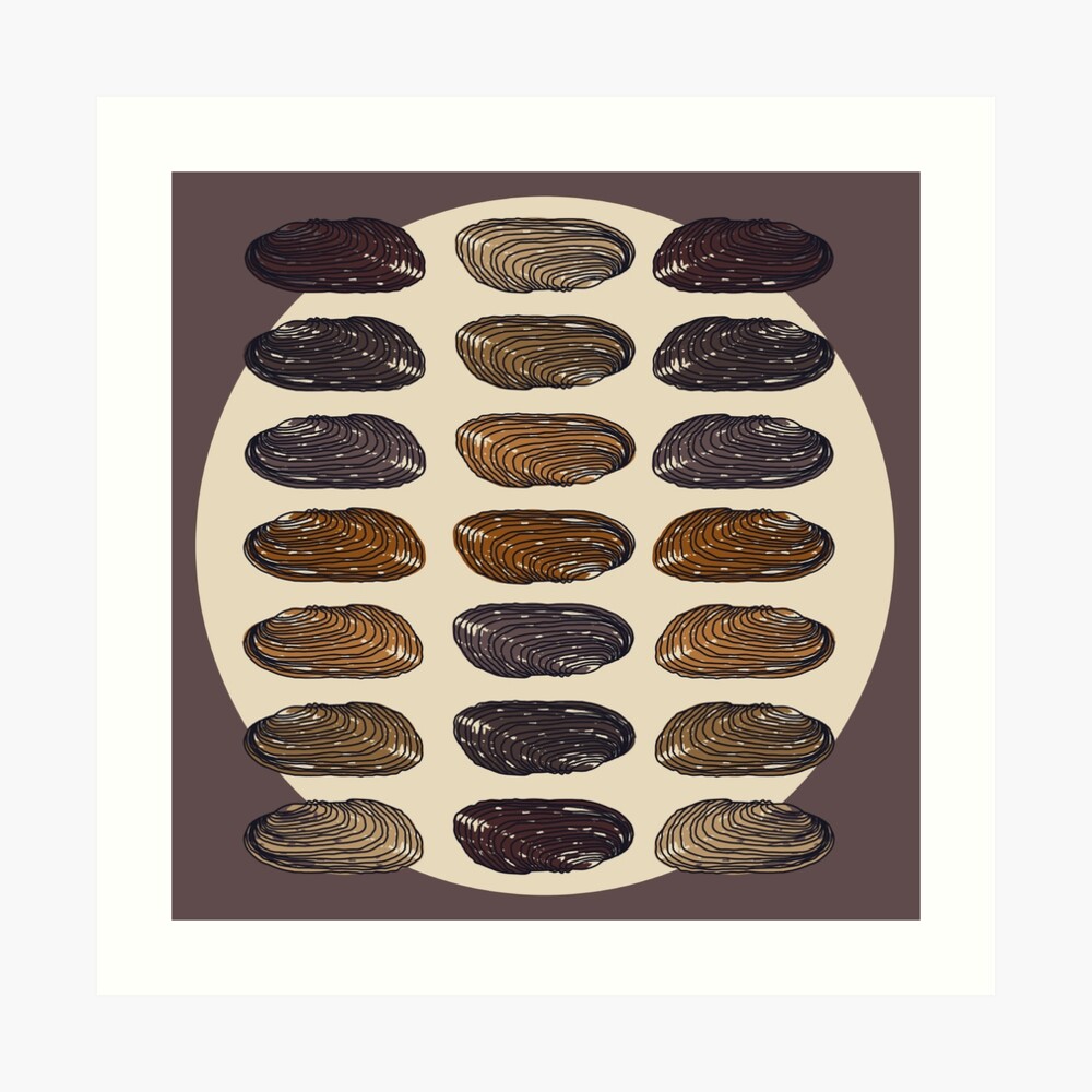 POP ART MUSSELS & Endangered Texas Hornshell Art - Giddyup Art Studio