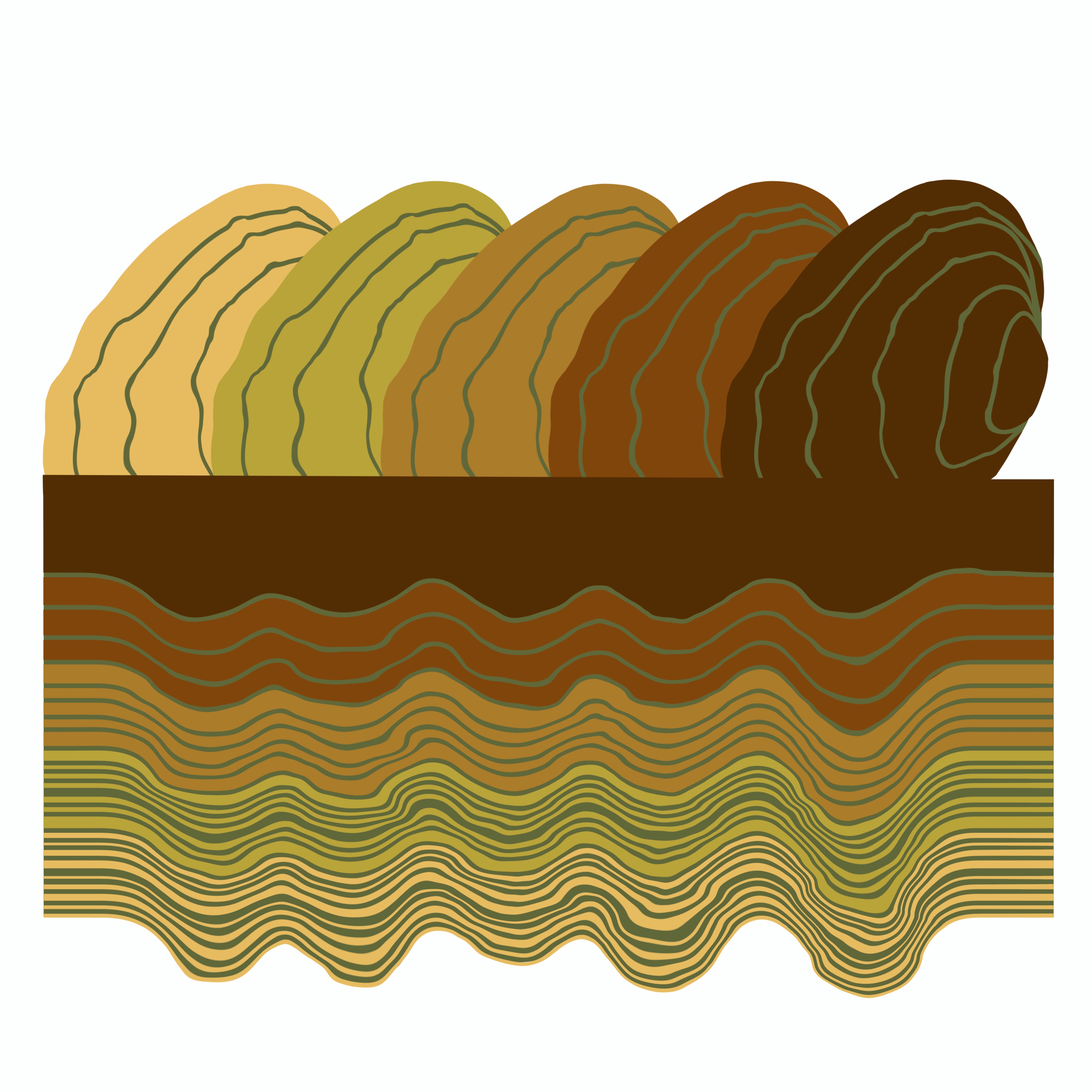 Texas Pimpleback (Cyclonaias petrina) - Giddyup Art Studio