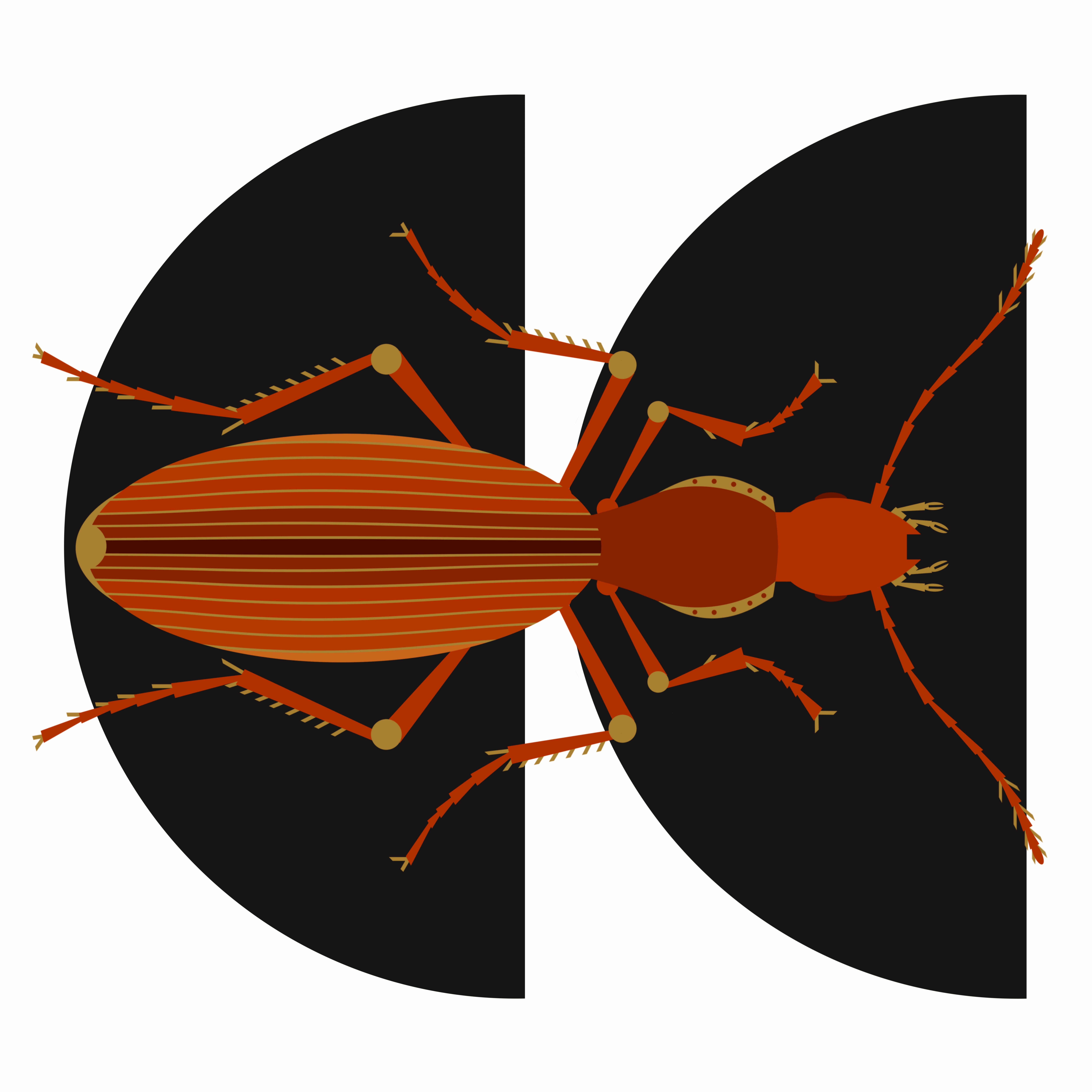 Tooth Cave Ground Beetle (Rhadine persephone) - Giddyup Art Studio