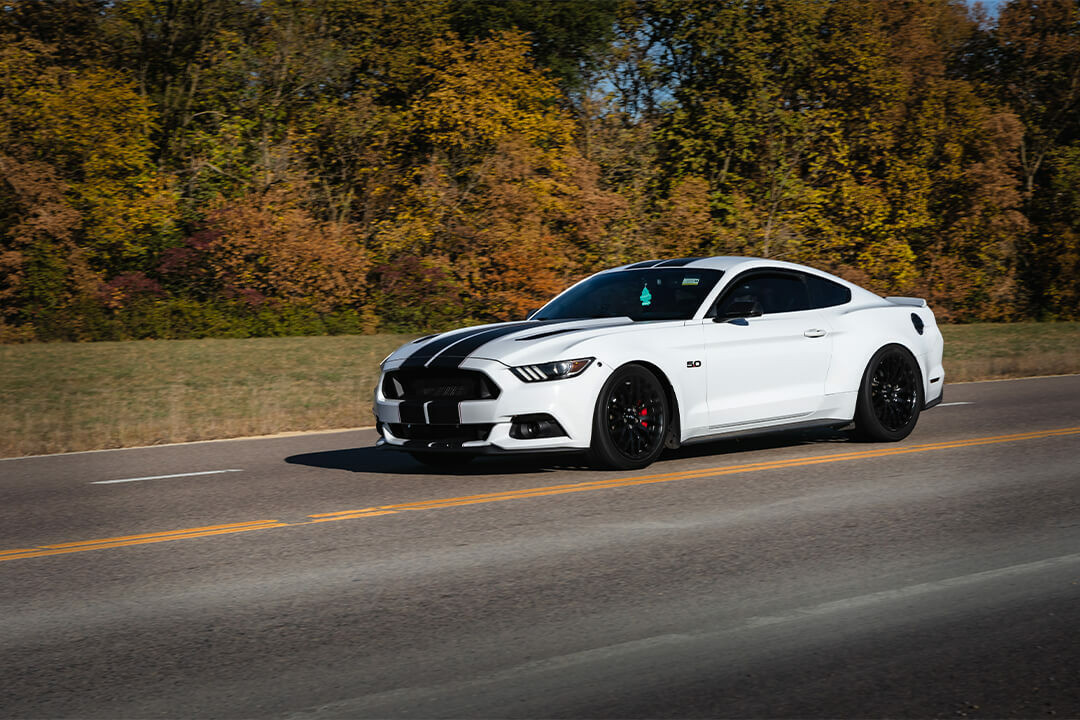 Vehicles - Ford - Car - S550 Mustang - QA1