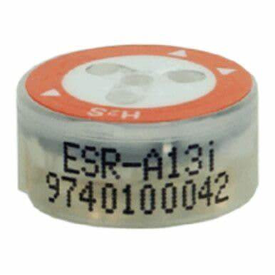 RKI Hydrogen Sulfide (H2S) 0-200 ppm for GX-3R/GX-3R Pro/GasWatch 3 ...