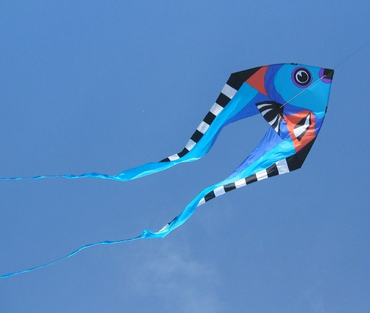 9ft Pyro Fish Delta Kite - Cool - MACkite