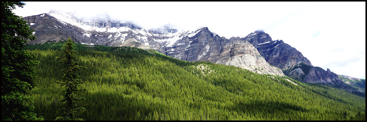 Gratitude - Ruby Tuesday Accessories ltd