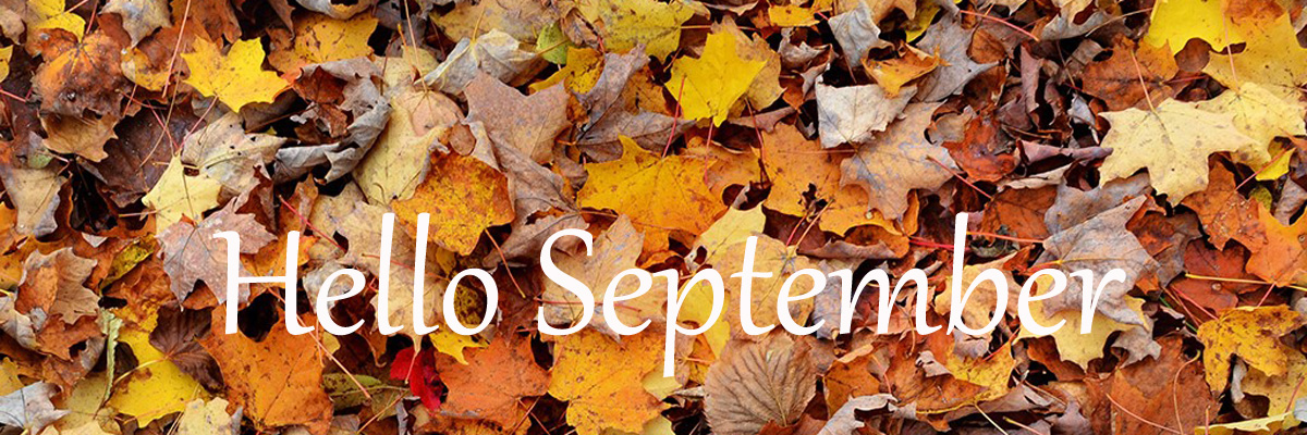 Autumn plans - Ruby Tuesday Accessories ltd