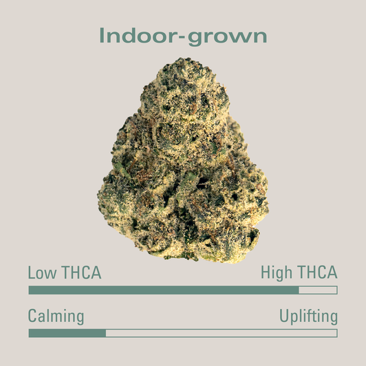 THCA Flower for Sale | Shop Premium Strains – Raleigh, NC