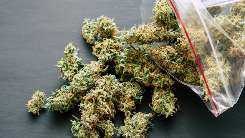 What is THCA Flower? Everything You Need to Know Before You Buy - CBD Tackle