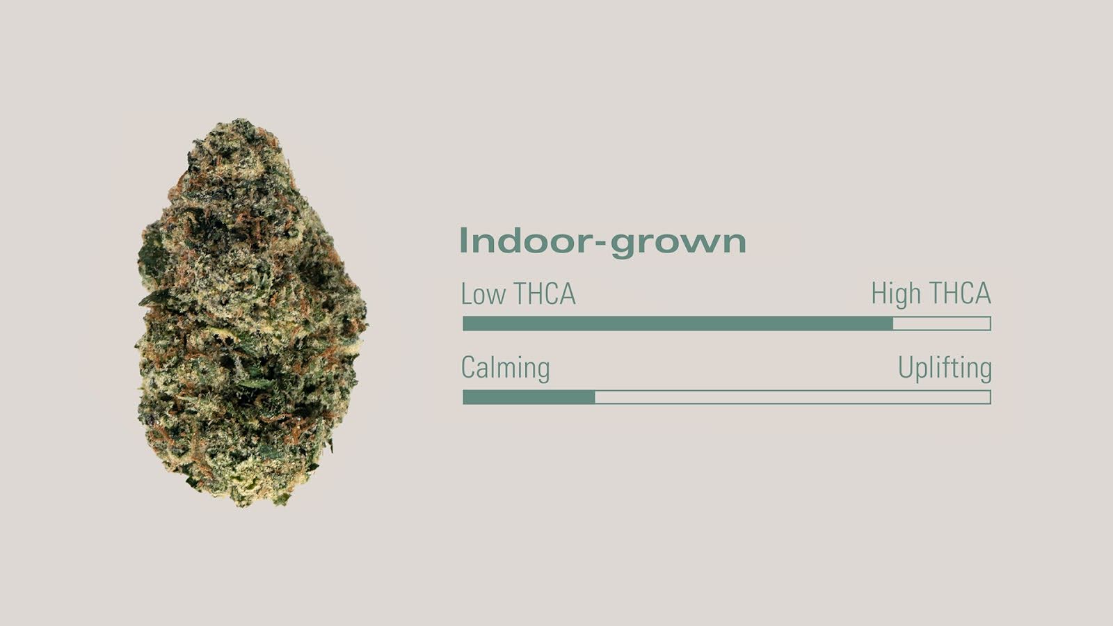 Gelato 33 Strain Review: Flavor, Effects, And What Sets It Apart - Hemp ...
