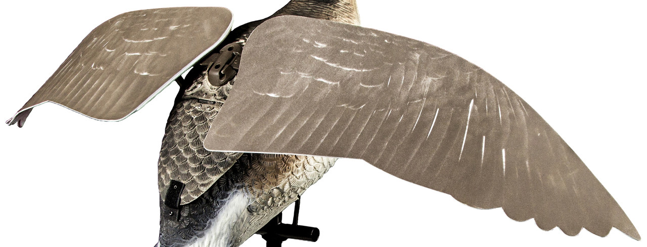 Canada Goose Flapper Wings | Lucky Duck Decoys