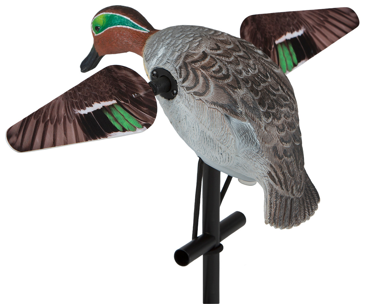Green Wing Teal Spinner | Lucky Duck Decoys