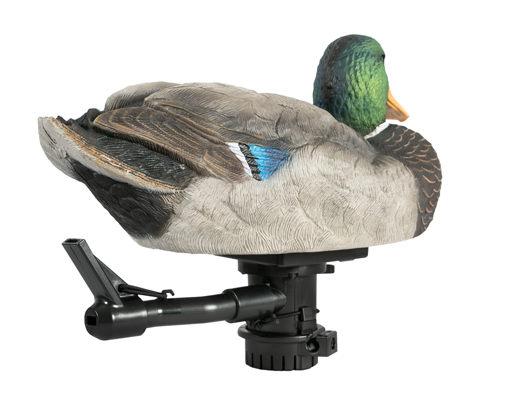 Shop HDI Super Swimmer 2.0 Max for Realistic Motion