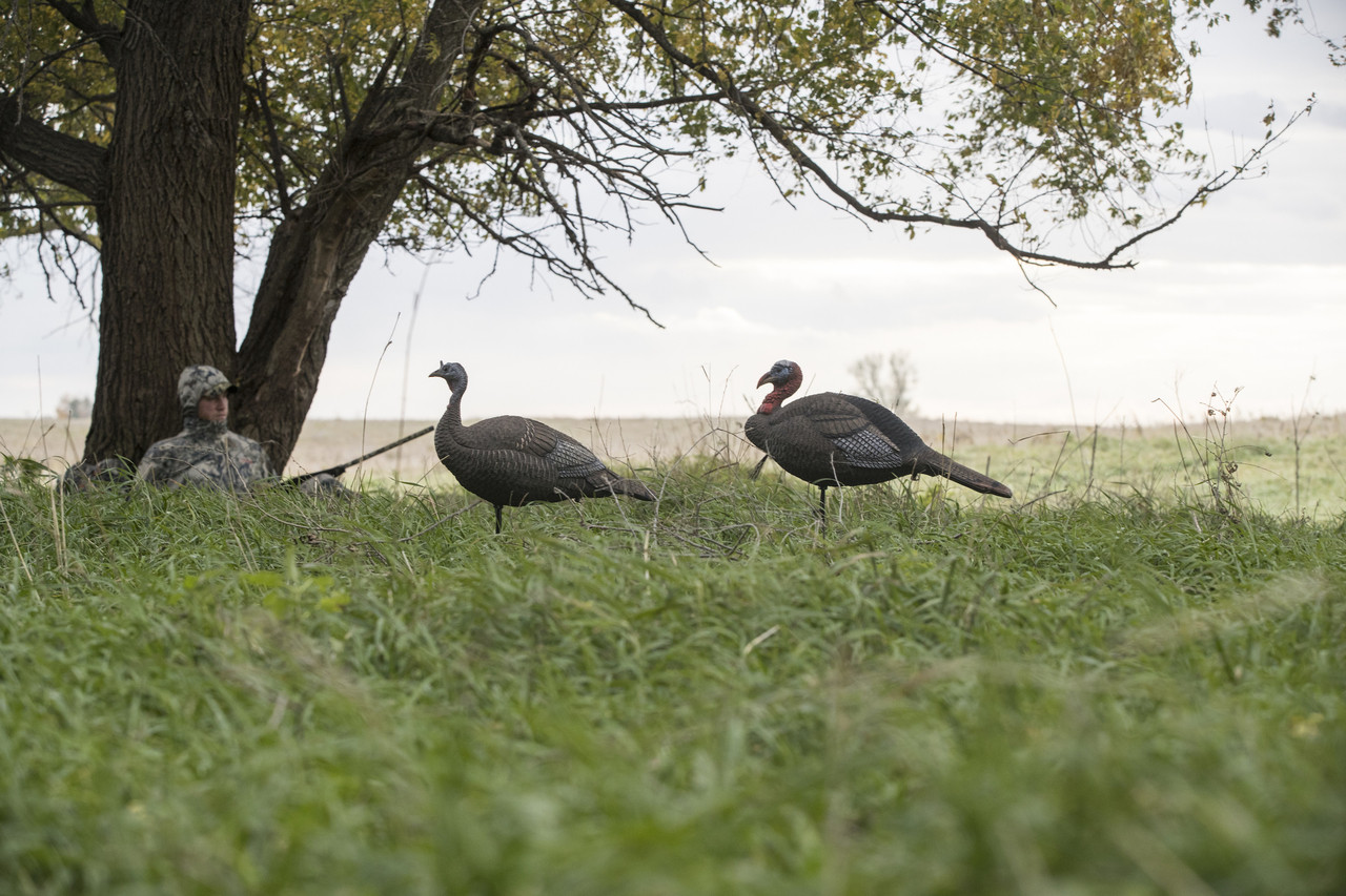 Collapsible Turkey Decoy | Lucky Duck Decoys