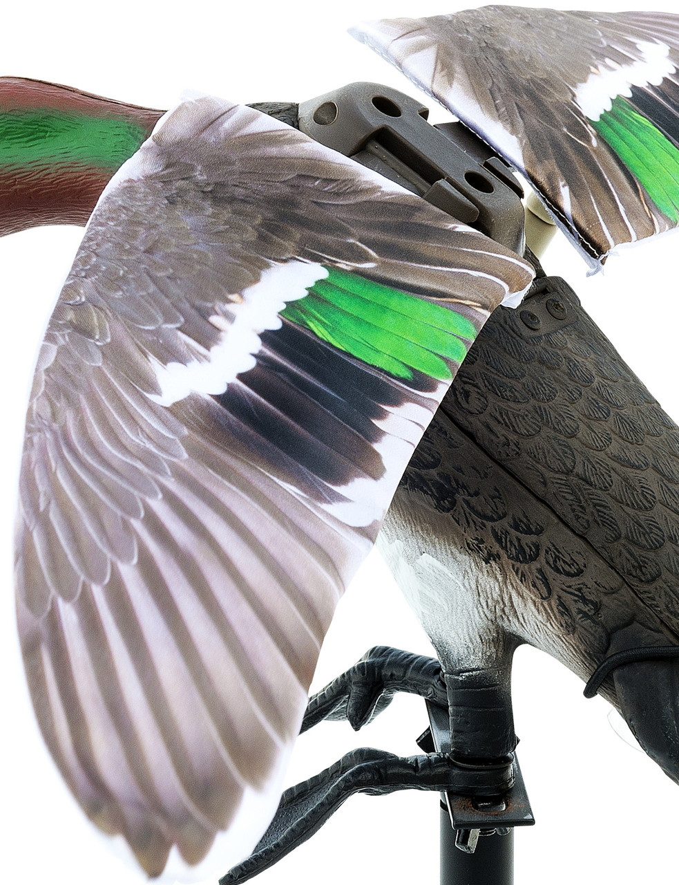 Replacement Wings for Rapid Flyer Teal | Lucky Duck Decoys