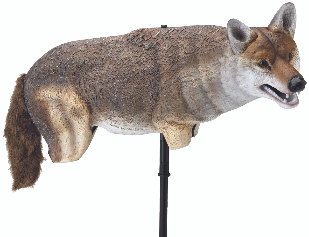 Life Size Coyote Decoy | Lucky Duck Decoys