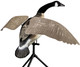 Motorized Flapper Decoy | Lucky Duck Decoys