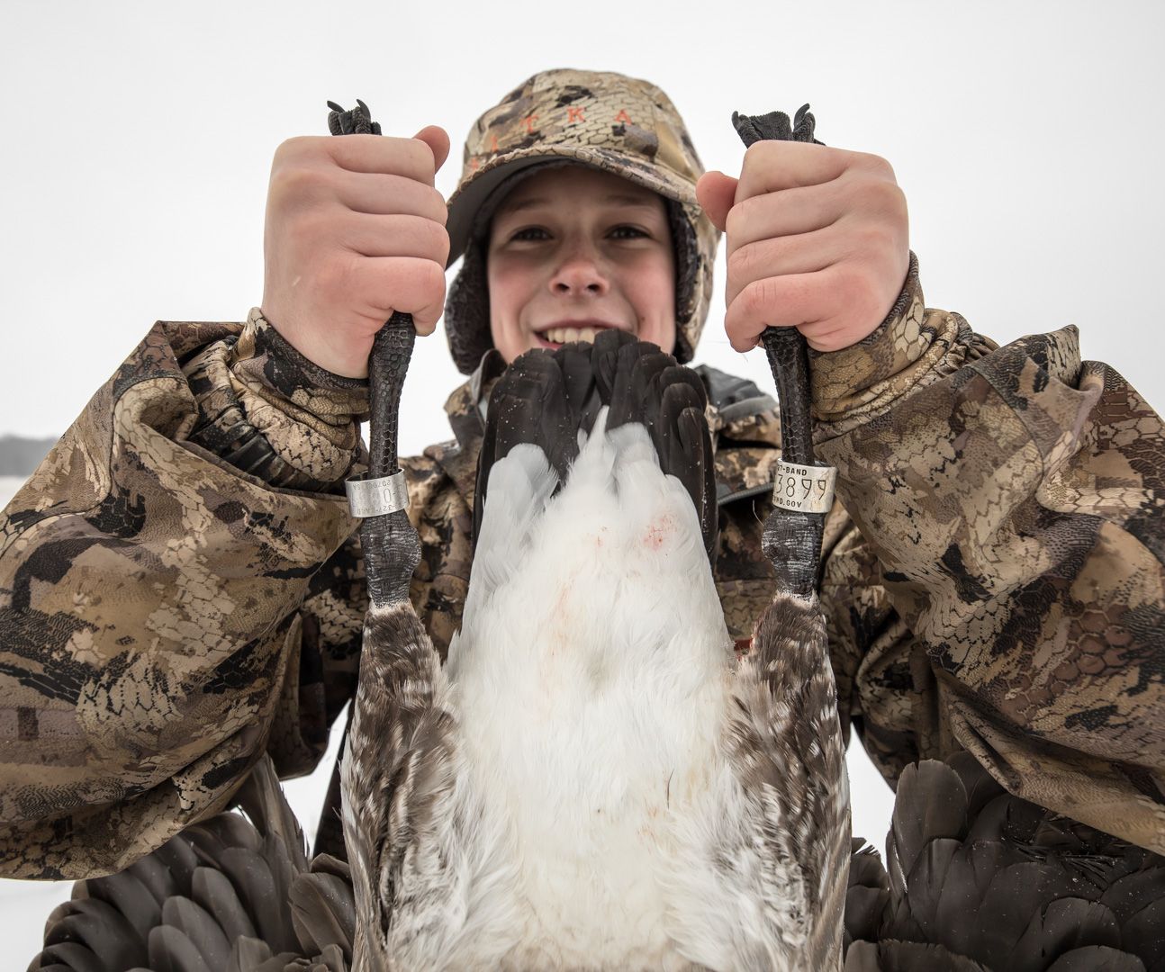 Goose Bands - Lucky Duck Decoys