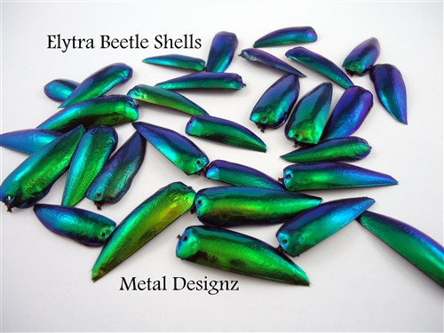 Jewel Beetle Shells - Metal Designz