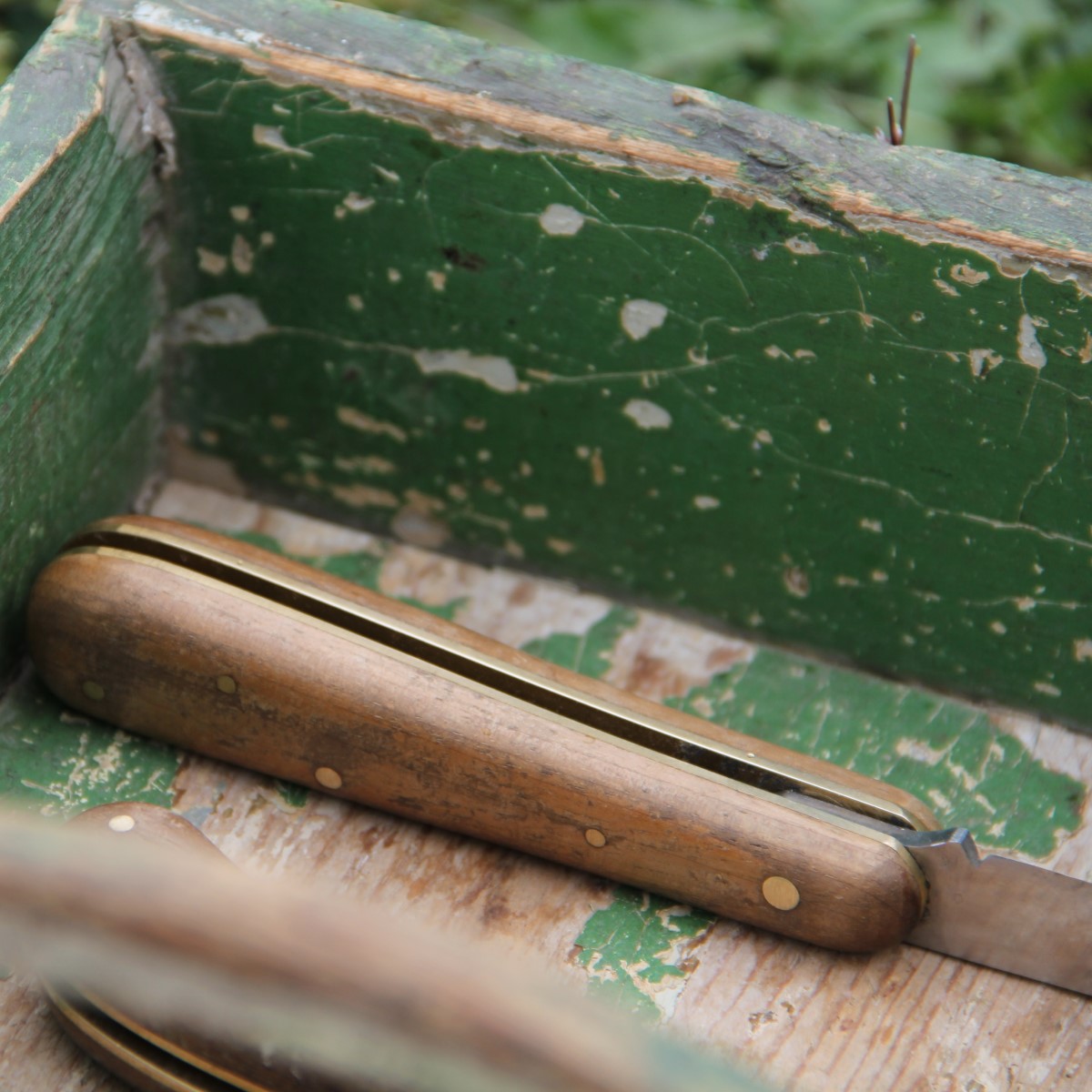 A Guide to Fruit Rootstocks - RV Roger Ltd