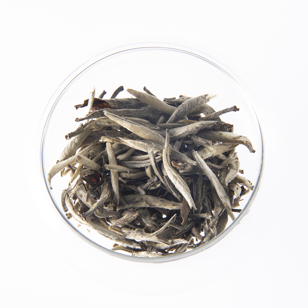 Silver Needle